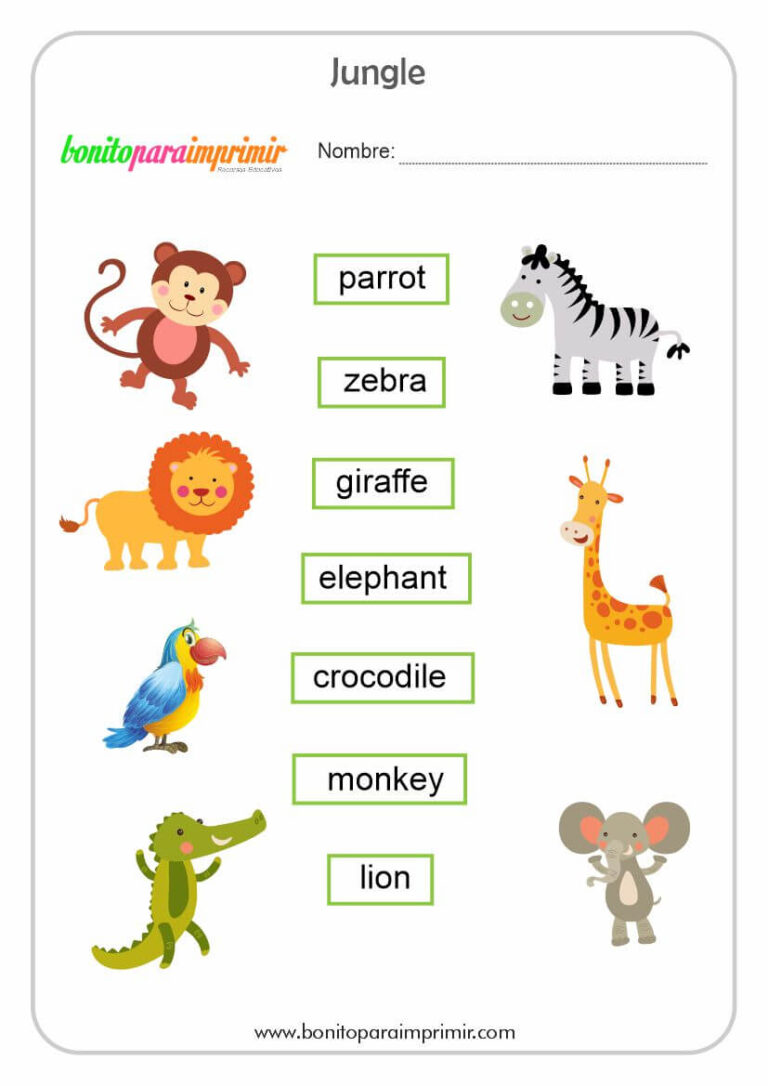 Animales en inglés, vocabulario y ejercicios - BONITO PARA IMPRIMIR