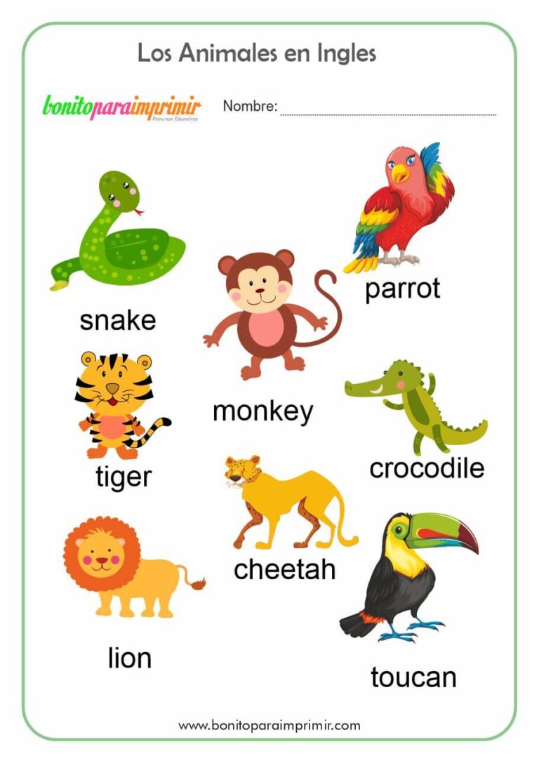 Vocabulario de la jungla en ingles con ejercicio - BONITO PARA IMPRIMIR