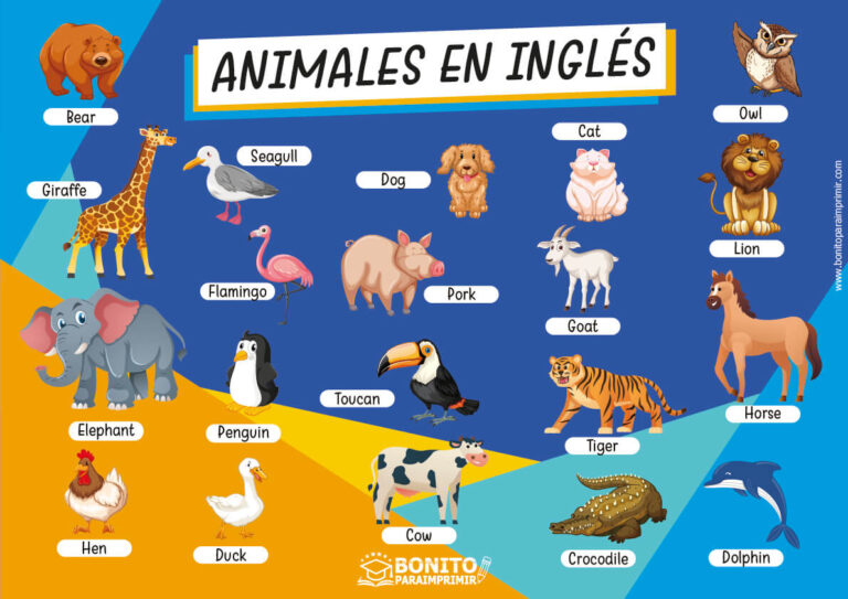 Animales en inglés, vocabulario y ejercicios - BONITO PARA IMPRIMIR